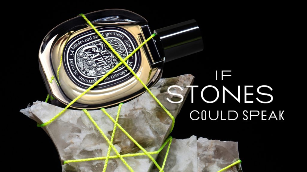 Scentury - Perfume Stories